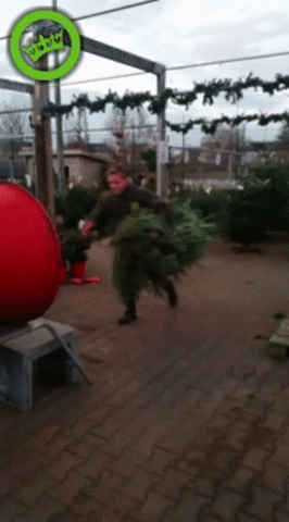 Christmas fail tree GIF - Find on GIFER