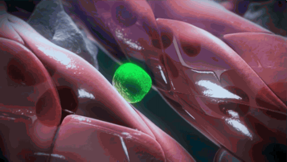 GIF stem cells science harvard - animated GIF on GIFER