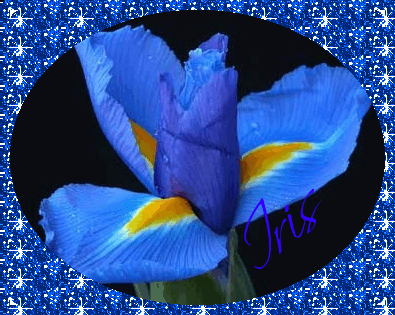 304 GIF - Find on GIFER