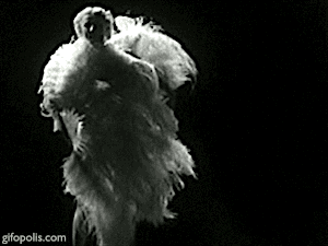Gopher GIF - Find on GIFER