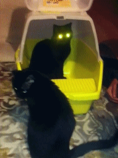 Spooning Tumblr Gif