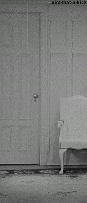 Adolf Hitler Speech Gif