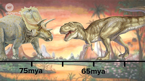 History dinosaurs archeology GIF - Find on GIFER
