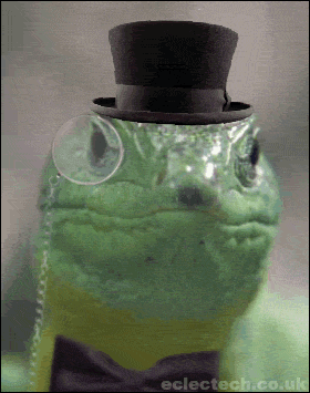 GIF lizard - animated GIF on GIFER - by Barin