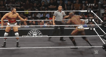GIF wrestling fan part - animated GIF on GIFER