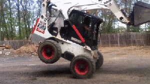 Bobcat nothing fail GIF - Find on GIFER