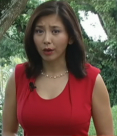 Asia GIF - Find on GIFER