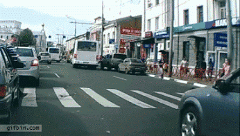 Fishing GIF - Find on GIFER