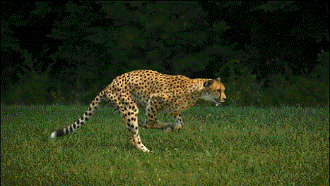 Thursday days thursdays GIF - Find on GIFER