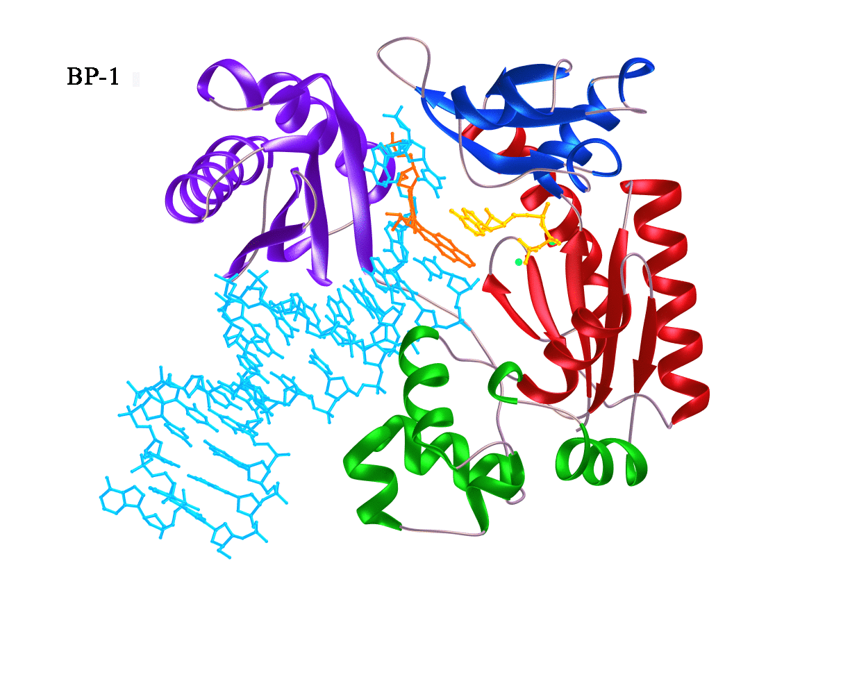 GIF dna - animated GIF on GIFER