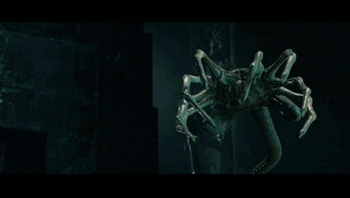 Alien Facehugger Gif