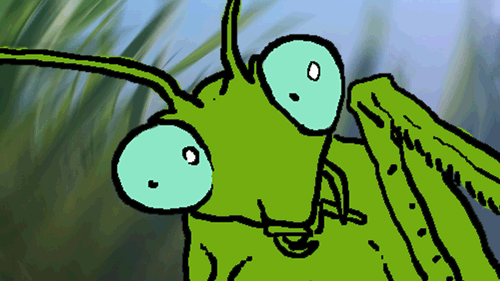 GIF rotoscope mantis praying mantis - animated GIF on GIFER - by Adorameena