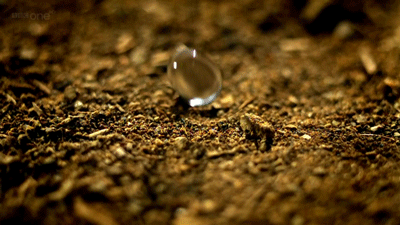 Water GIF - Find on GIFER