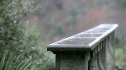 Rain drizzle GIF - Find on GIFER