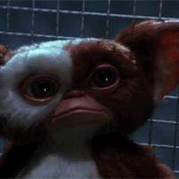 Gizmo GIF - Find on GIFER