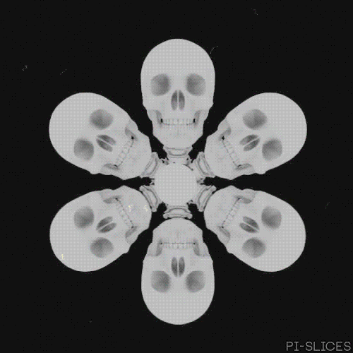 Glitch black and white pi slices GIF - Find on GIFER
