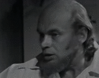 Sorted meme image GIF - Find on GIFER