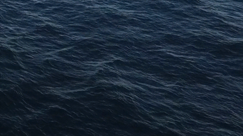 Gif Précieux De Poulet Frit