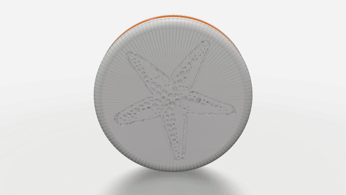 Starfish GIF on GIFER - by Thorgaginn