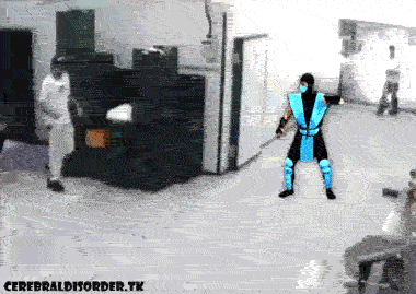 Mortal Kombat Sub Zero Meme