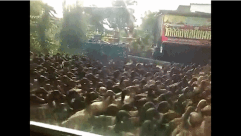 Exodus GIF - Find on GIFER