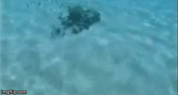 GIF exodus - animated GIF on GIFER