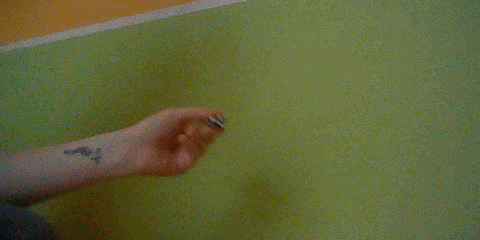 GIF roll over - animated GIF on GIFER