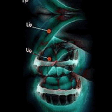 Databending montreal strobe GIF - Find on GIFER