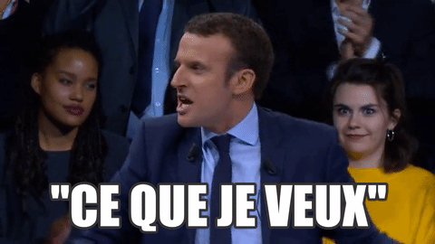 Emmanuel macron citation meeting GIF - Find on GIFER