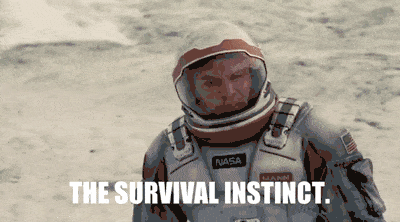 366 GIF - Find on GIFER