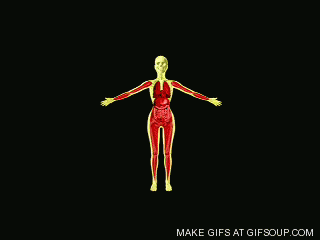 Gif De Personnes Obèses Qui Tombent