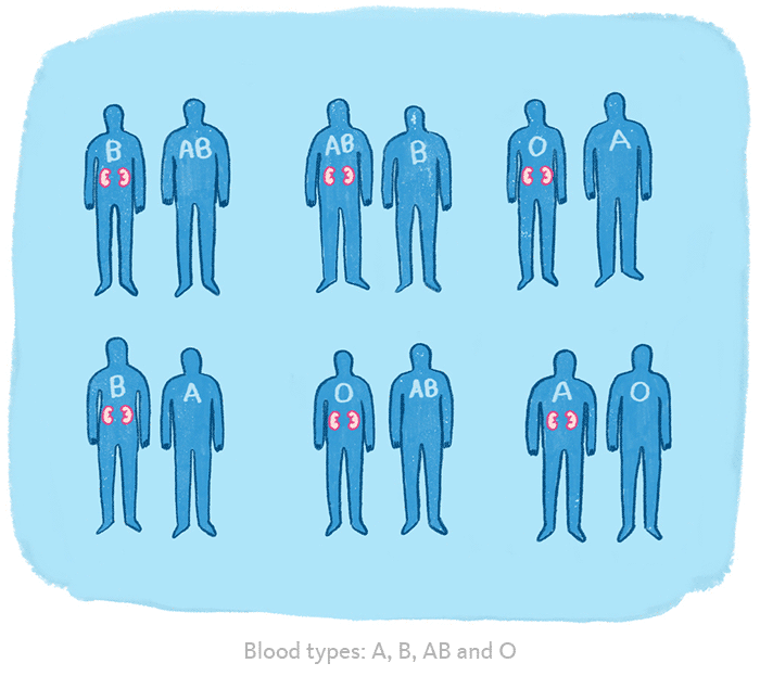 Medicine transplant kidney GIF - Find on GIFER