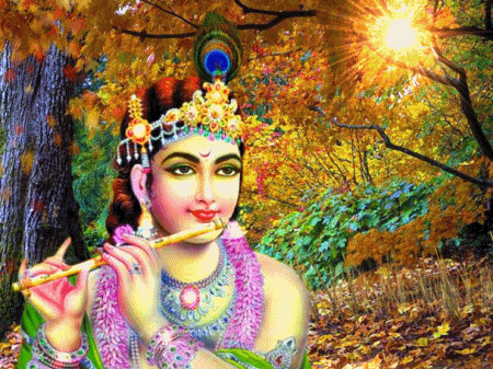 Iskcon devotee tree GIF - Find on GIFER