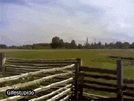 Life hurdles GIF - Find on GIFER