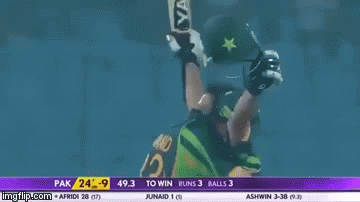 GIF moments most cricket - animated GIF on GIFER