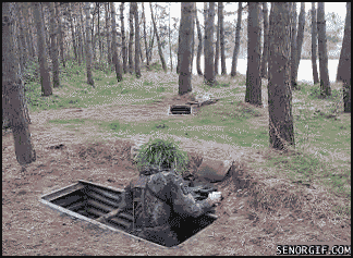 Cod GIF - Find on GIFER