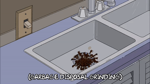 GIF episode 15 season 20 kitchen - animated GIF on GIFER