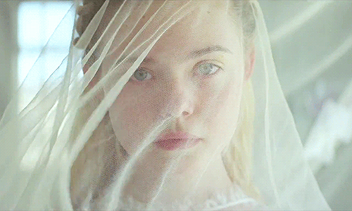 Elle fanning veil GIF - Find on GIFER