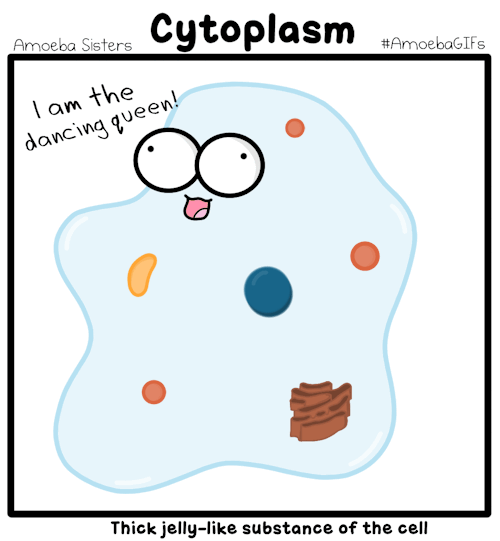 The cell GIF - Find on GIFER