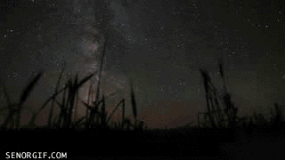Science nature way GIF - Find on GIFER