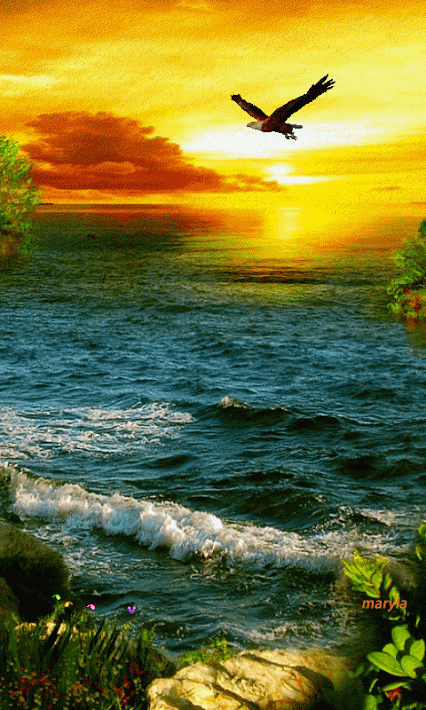 Mare colony GIF - Find on GIFER