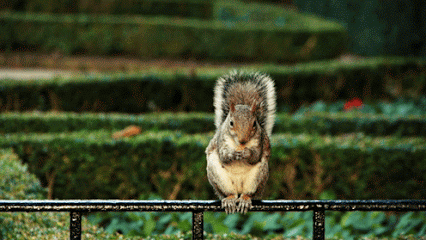 Bar refaeli GIF - Find on GIFER