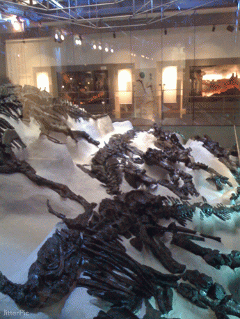 Museums GIF - Find on GIFER