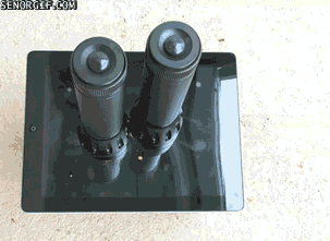 Fail wtf other GIF - Find on GIFER