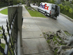 GIF fedex here catch - animated GIF on GIFER