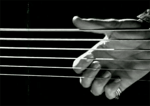 Primus bass 90s GIF - Find on GIFER