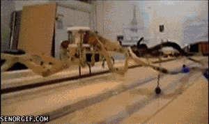 Science creepy GIF - Find on GIFER