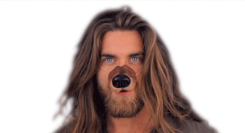 GIF bark madea halloween dog mask - animated GIF on GIFER