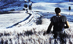 Gladiator phoenix russell GIF - Find on GIFER