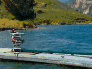 Caddy GIF - Find on GIFER